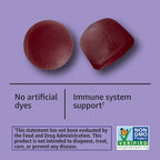 natural elderberry syrup alternative