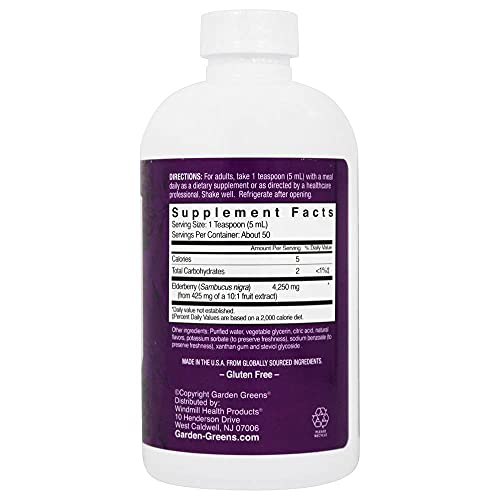 natural elderberry syrup antioxidant benefits