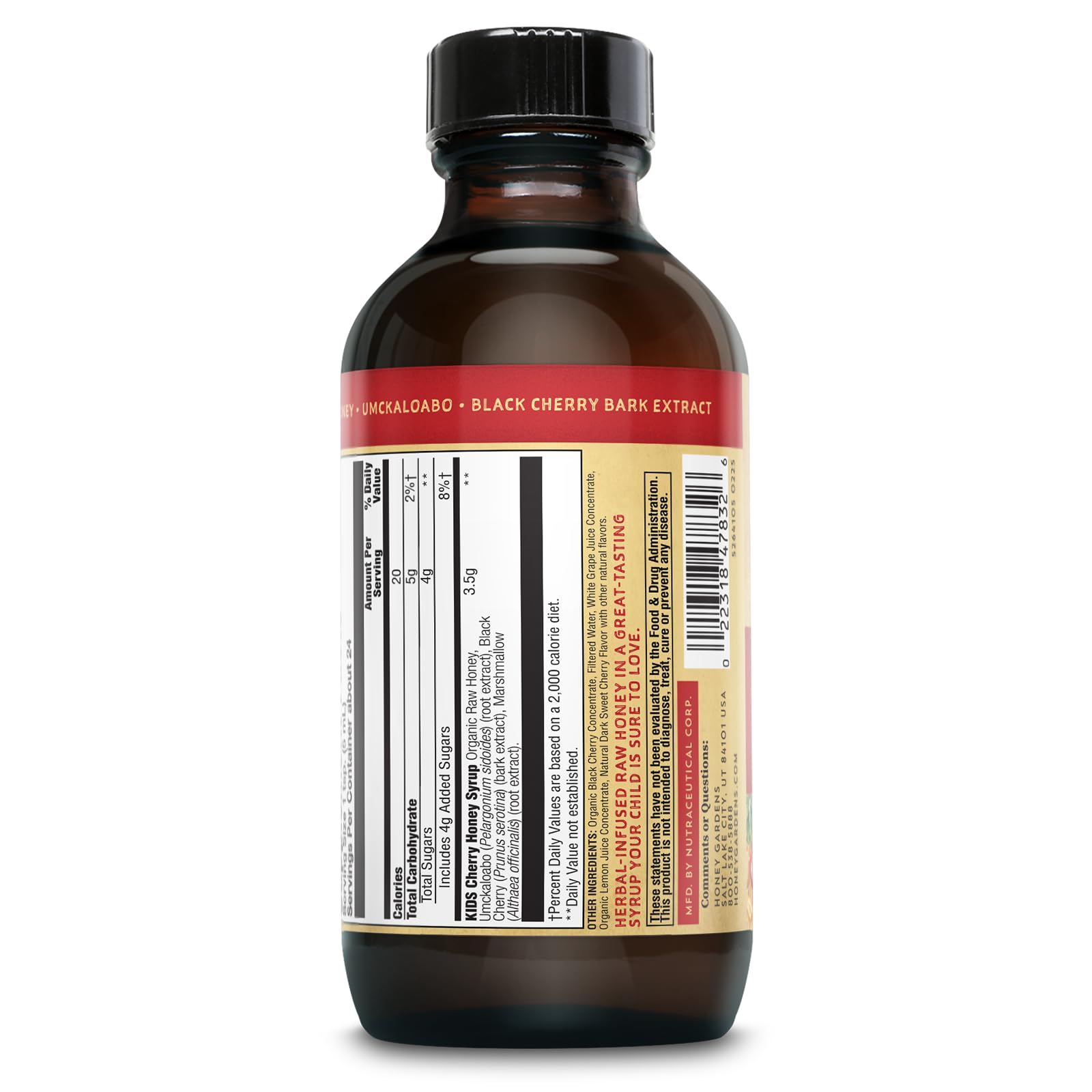 natural elderberry syrup for children