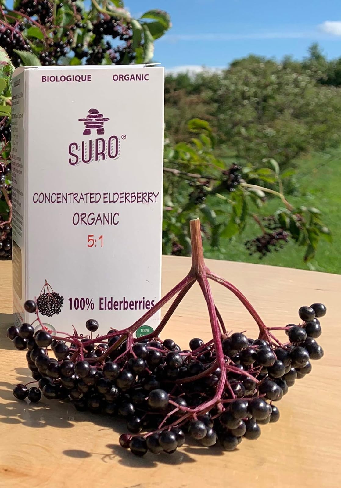 natural elderberry syrup for immune support