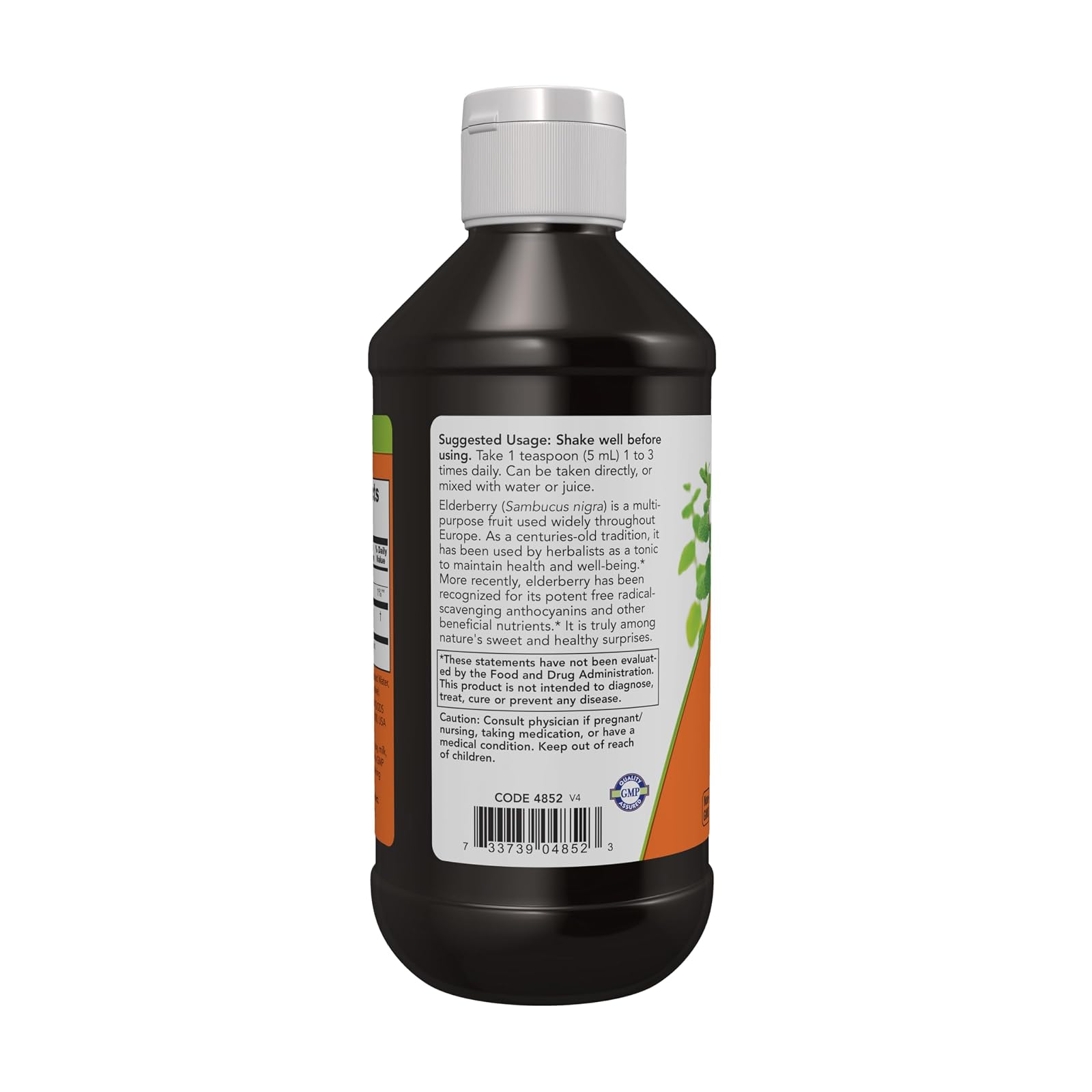 natural elderberry syrup for kids
