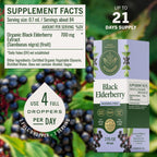 natural elderberry syrup for kids