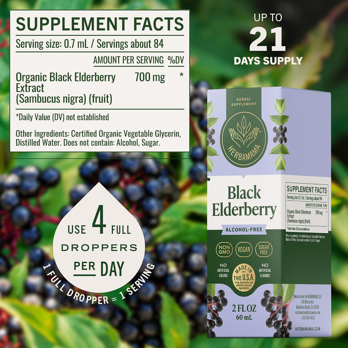 natural elderberry syrup for kids