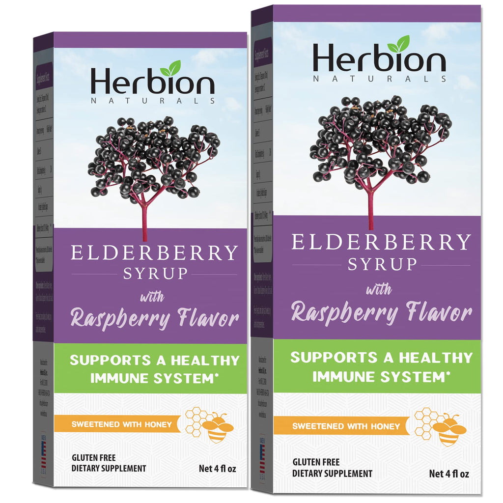 natural elderberry syrup for kids