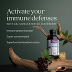 natural elderberry syrup for kids