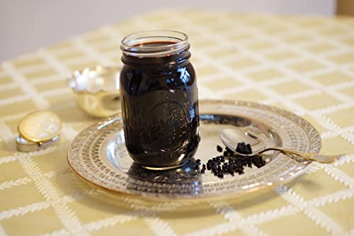 natural elderberry syrup for kids