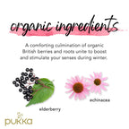 Natural elderberry tea benefits