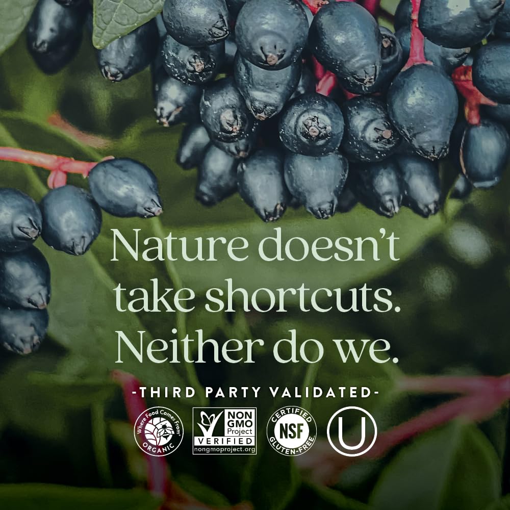 natural elderberry vitamin C formula