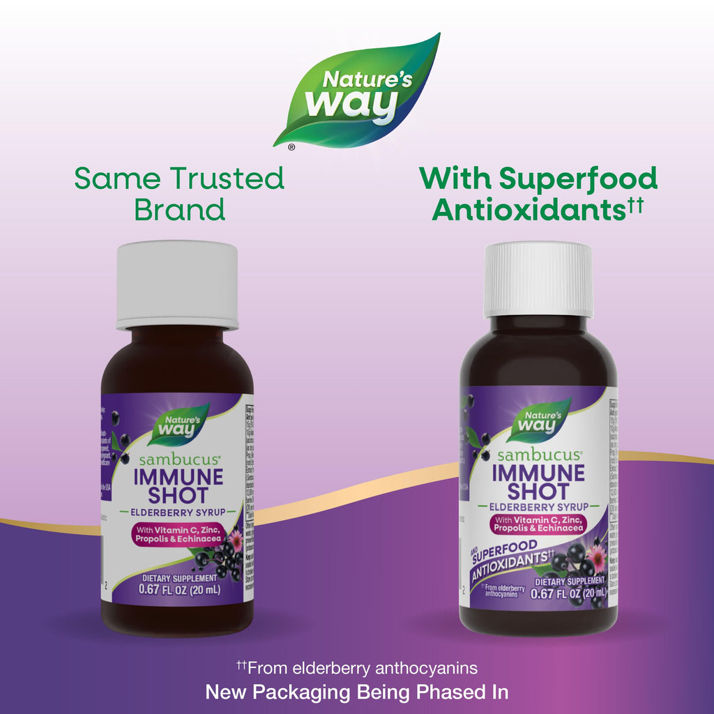 natural elderberry wellness boost