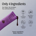Natural elderberry wellness booster