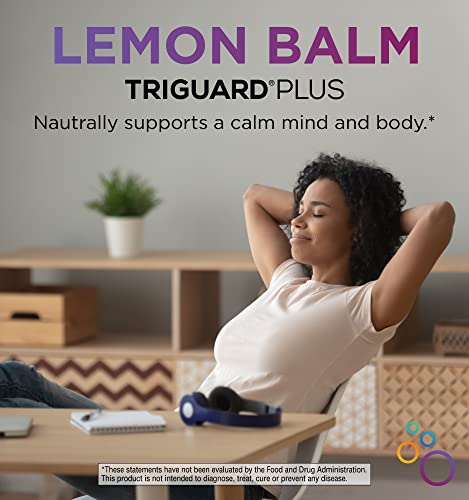 natural elderberry wellness solution