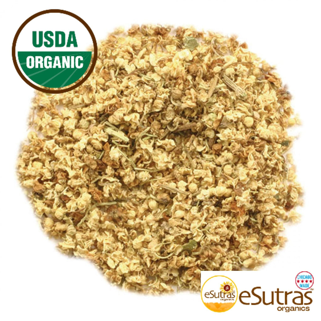 Natural elderflower herbal infusion