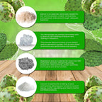 natural electrolyte powder for athletes