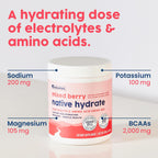 Natural electrolyte powder for daily use