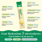 Natural electrolyte powder for daily wellness