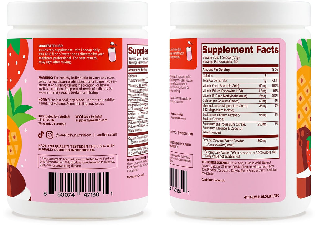 natural electrolyte powder for energy