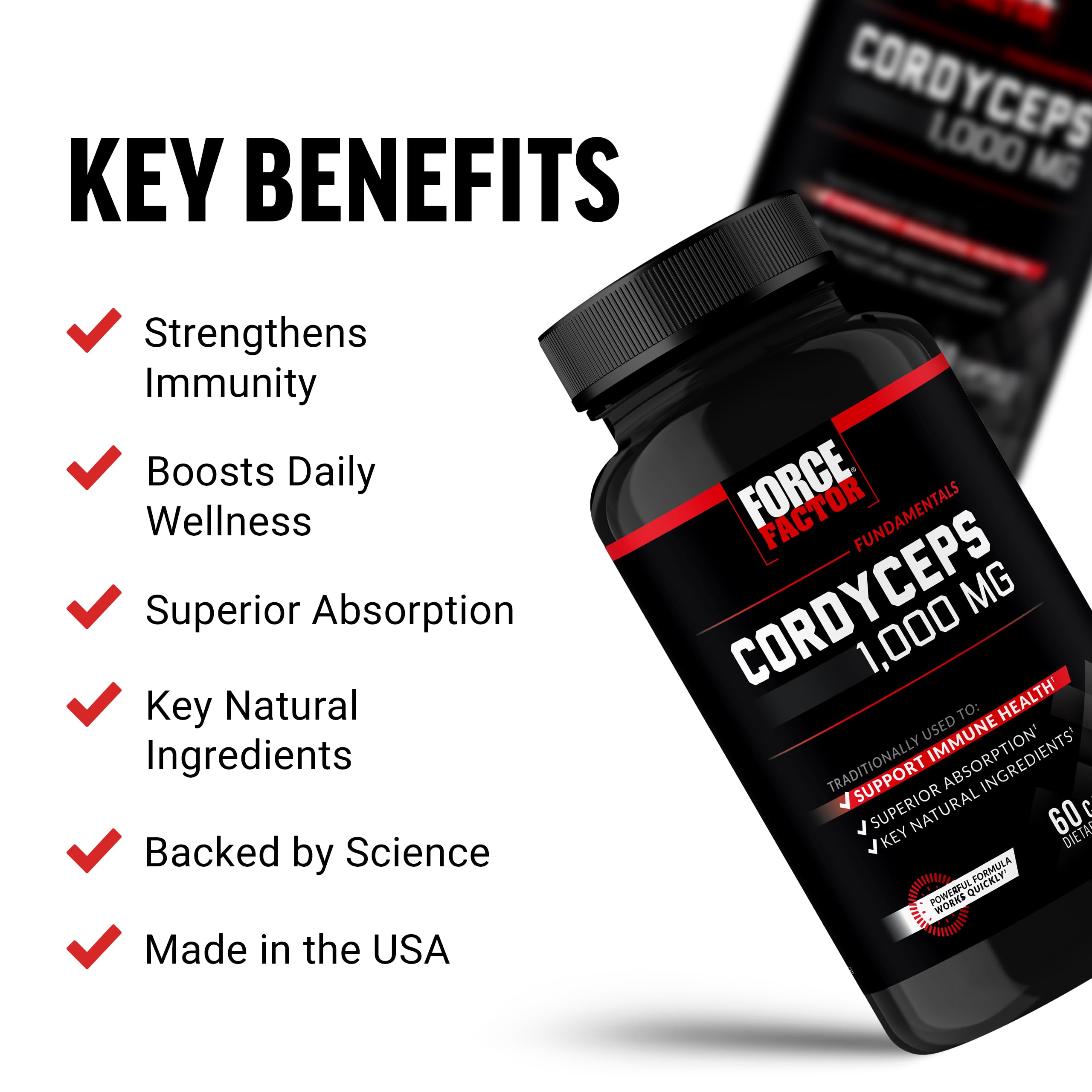 natural endurance supplement with mushrooms