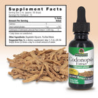 Natural endurance support with Codonopsis