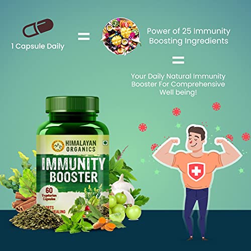 natural energy and digestion support
