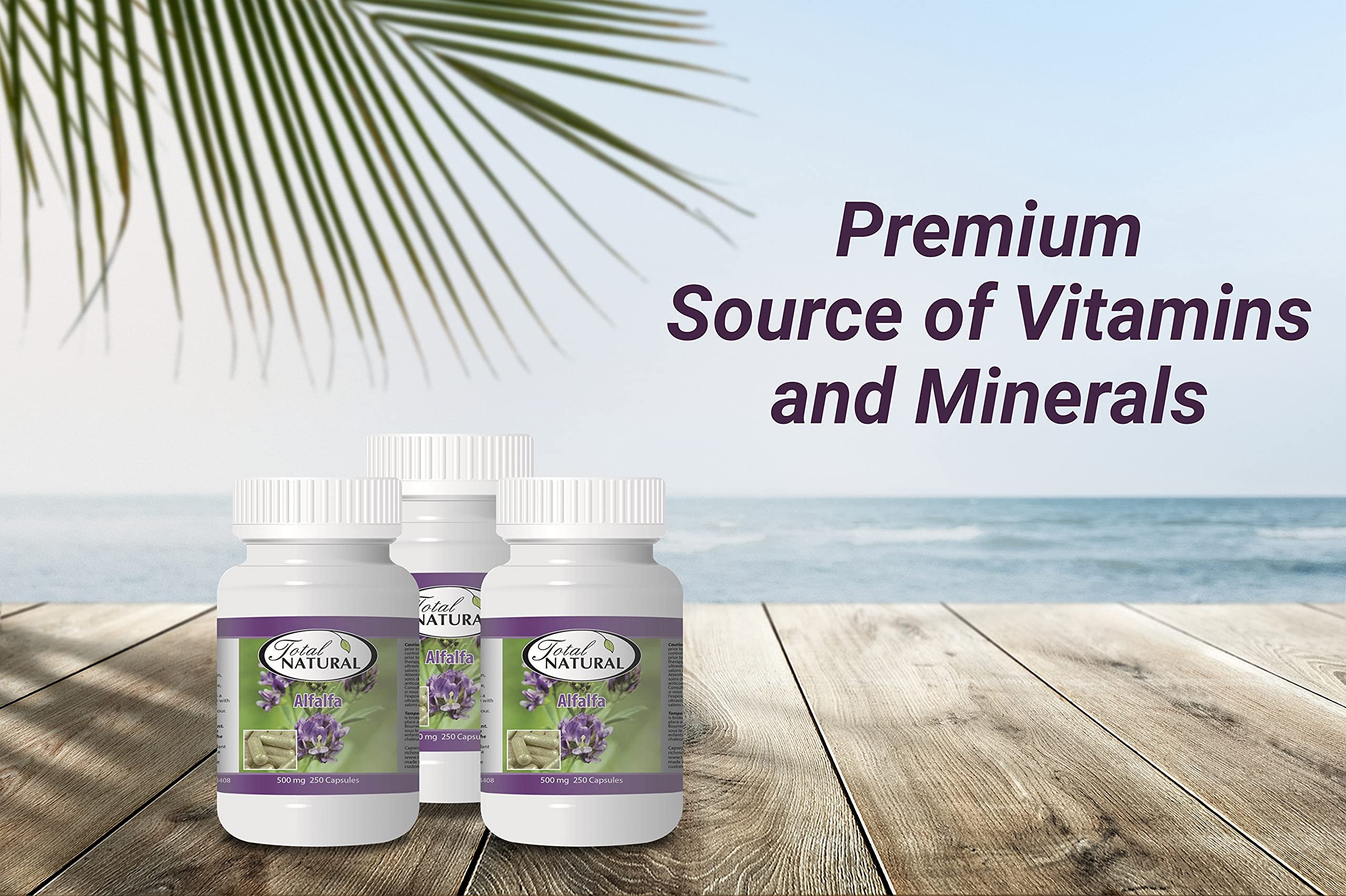 natural energy and vitality supplements