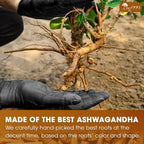 natural energy Ashwagandha tea