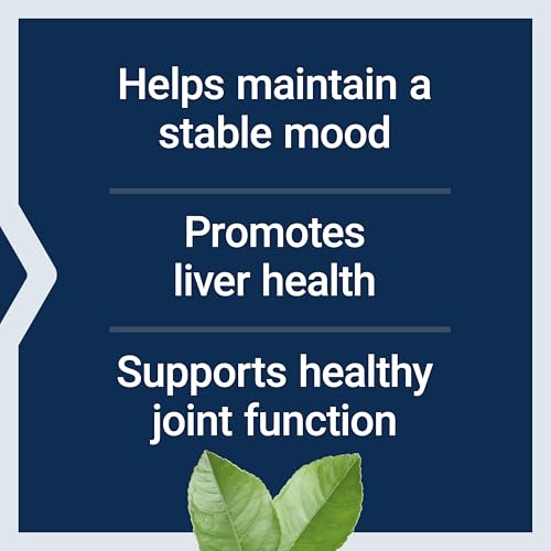 natural energy blended vitamin & mineral supplements