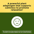 natural energy boost ashwagandha capsules