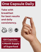 natural energy boost beet root