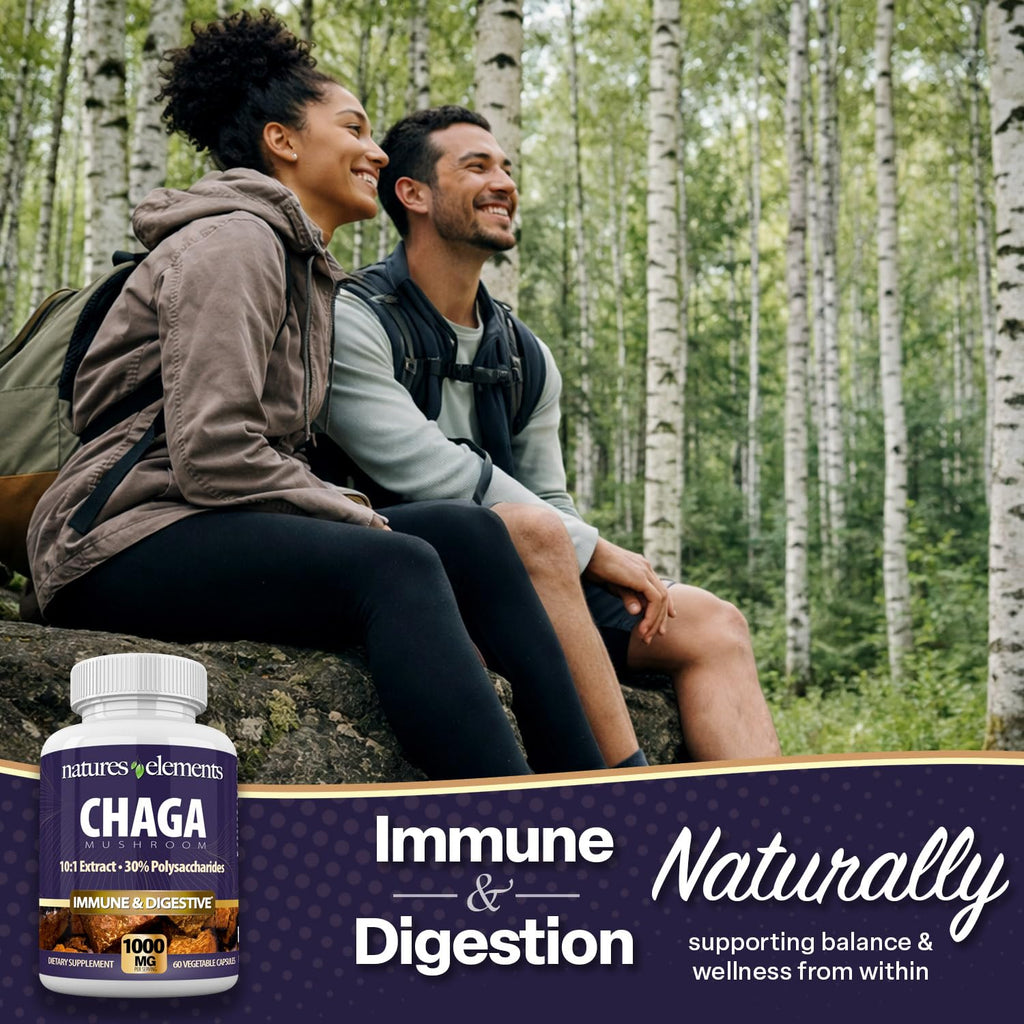 Natural energy boost chaga mushrooms