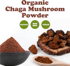 natural energy boost chaga mushrooms