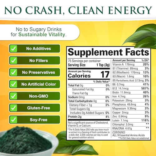 natural energy boost chlorella powder