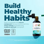 natural energy boost chlorophyll drops