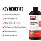 natural energy boost chlorophyll liquid