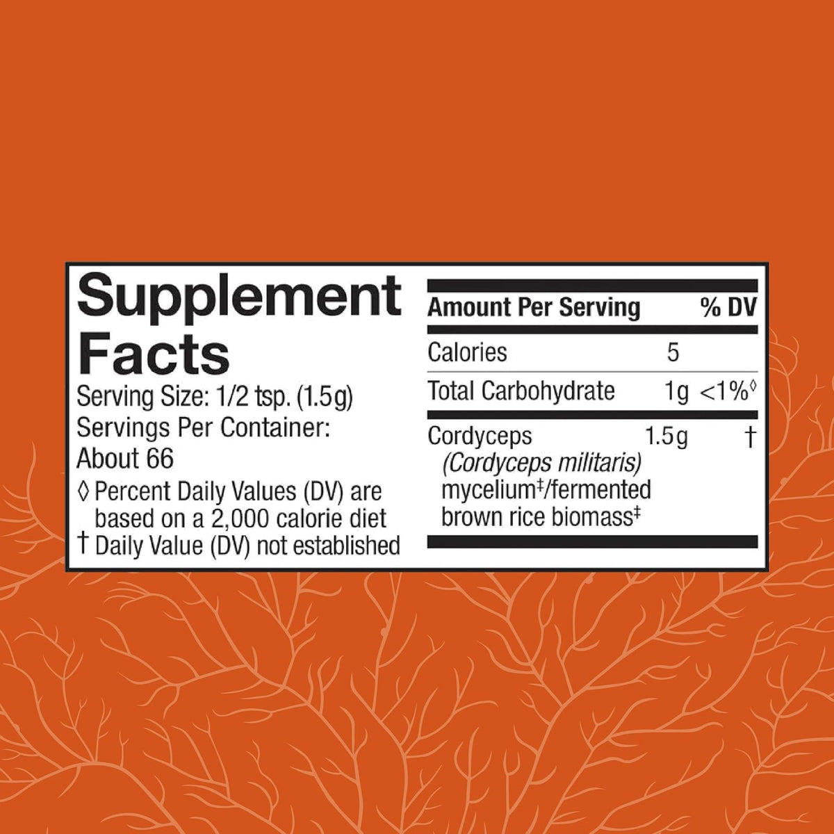 natural energy boost cordyceps powder