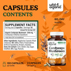 natural energy boost cordyceps