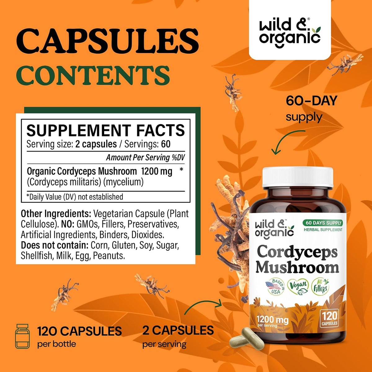 natural energy boost cordyceps
