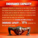 natural energy boost creatine capsules