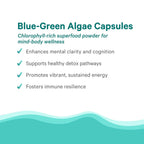 natural energy boost from algae