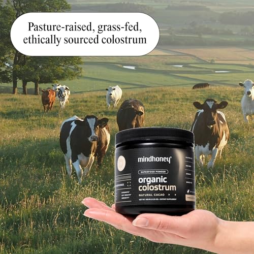 natural energy boost from cacao powder