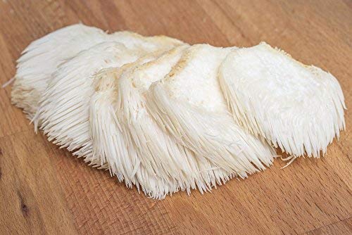 Natural energy boost from Cedar Bear mushrooms