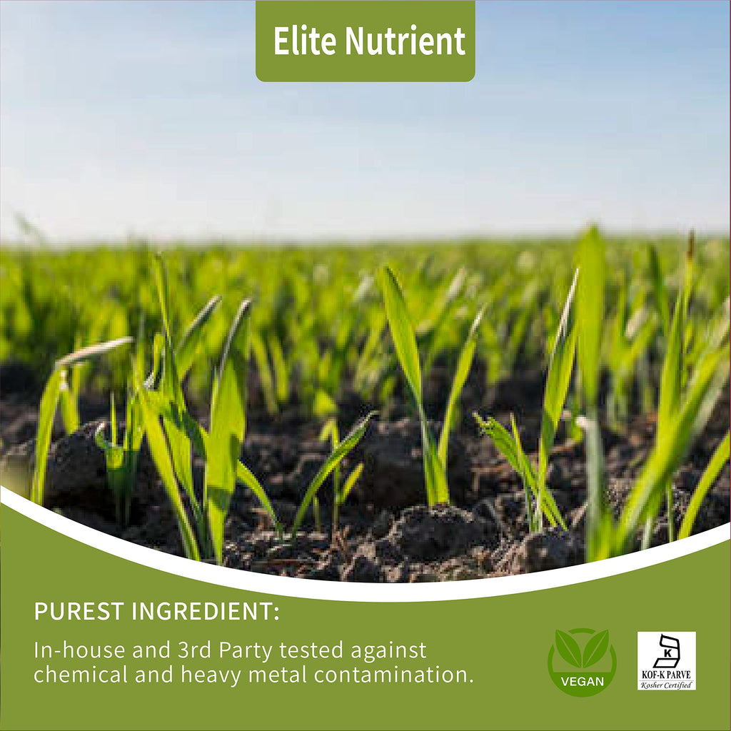 natural energy boost from chlorophyll