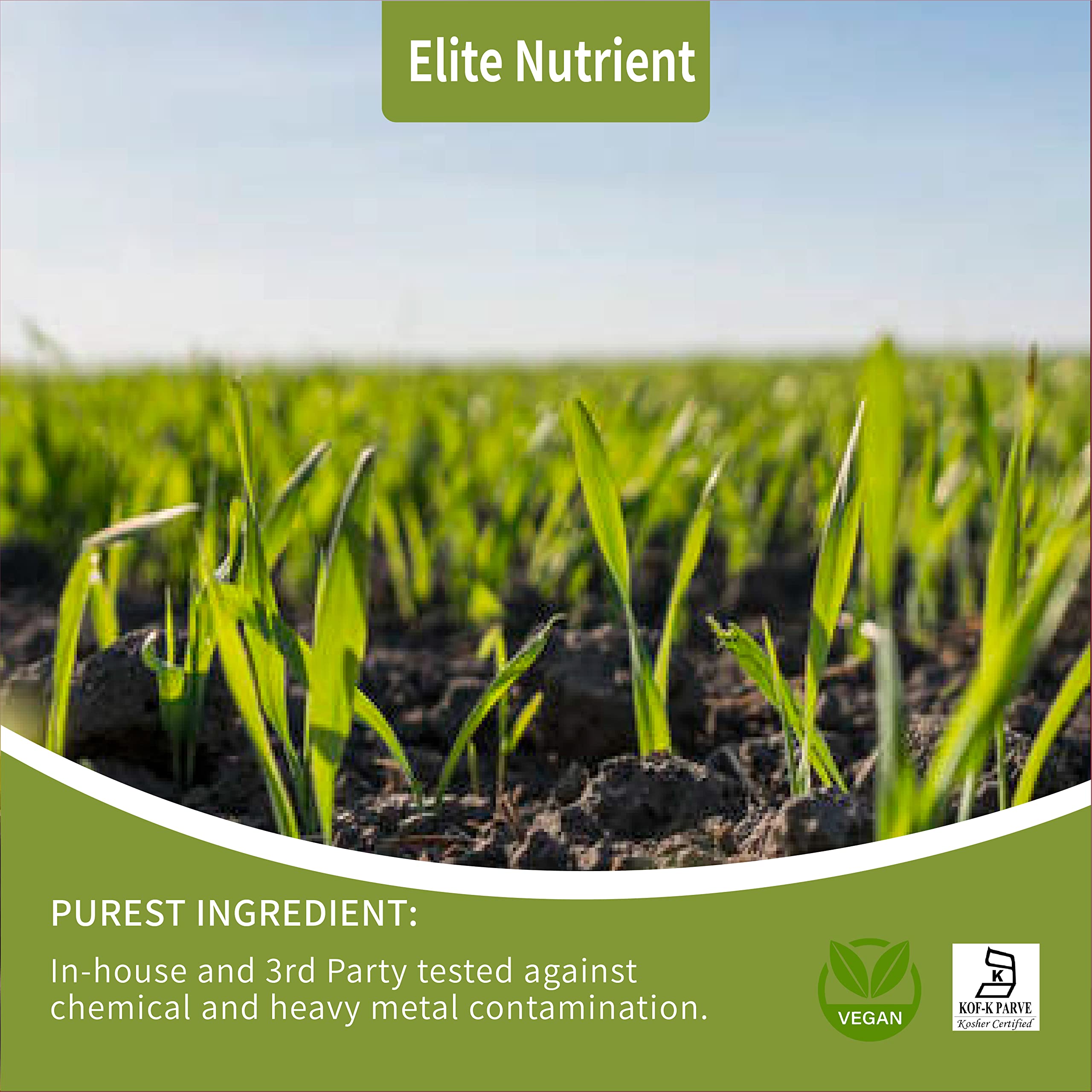 natural energy boost from chlorophyll