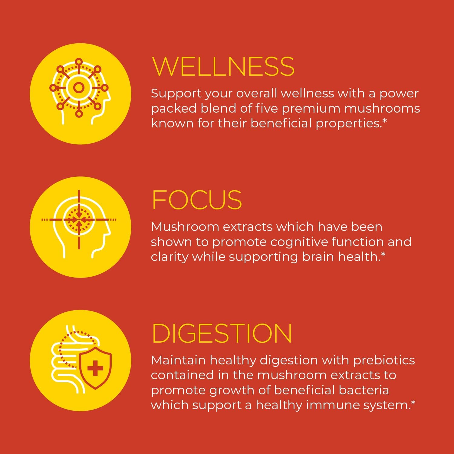 natural energy boost from cordyceps