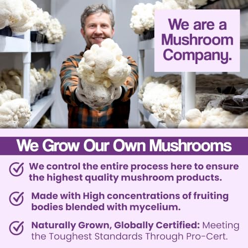 Natural energy boost from Focused mushroom gummies