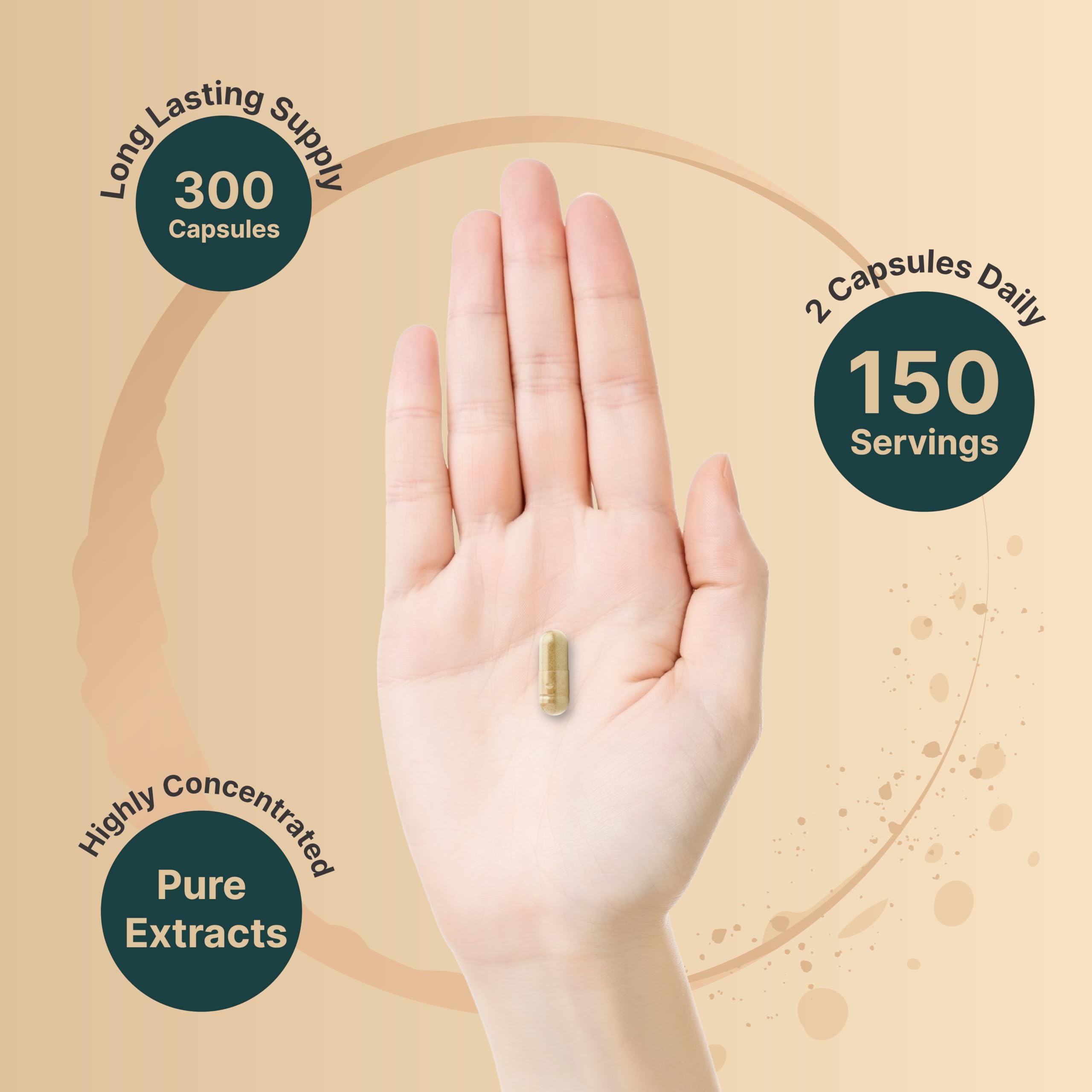 natural energy boost from ginkgo biloba
