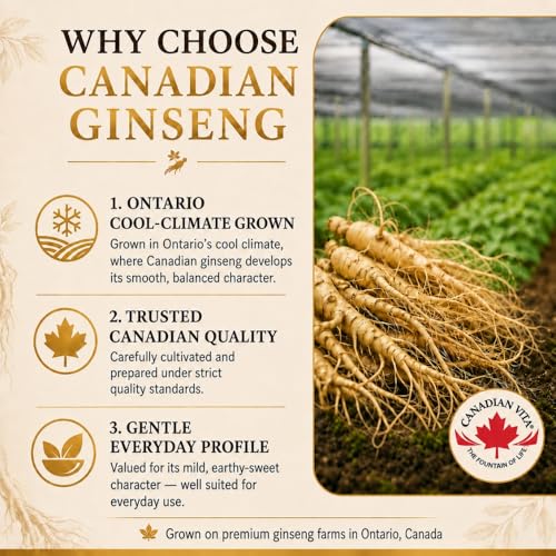 natural energy boost from ginseng