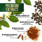 natural energy boost from green tea
