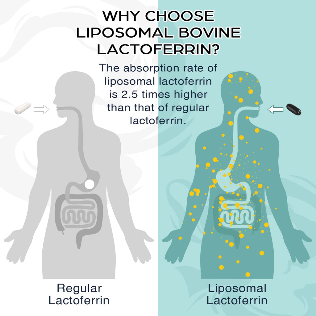 natural energy boost from lactoferrin