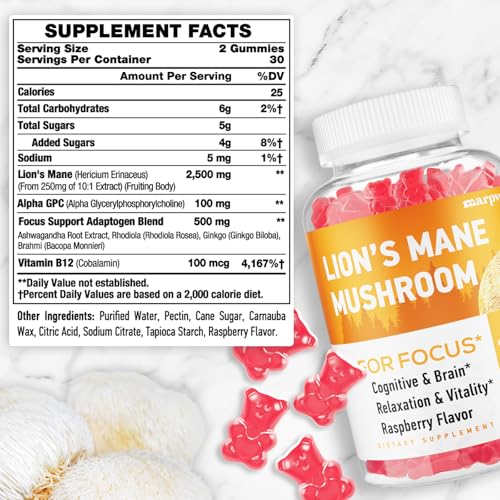 Natural energy boost from Lion's Mane
