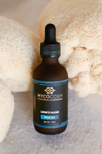 Natural energy boost from mushroom extract